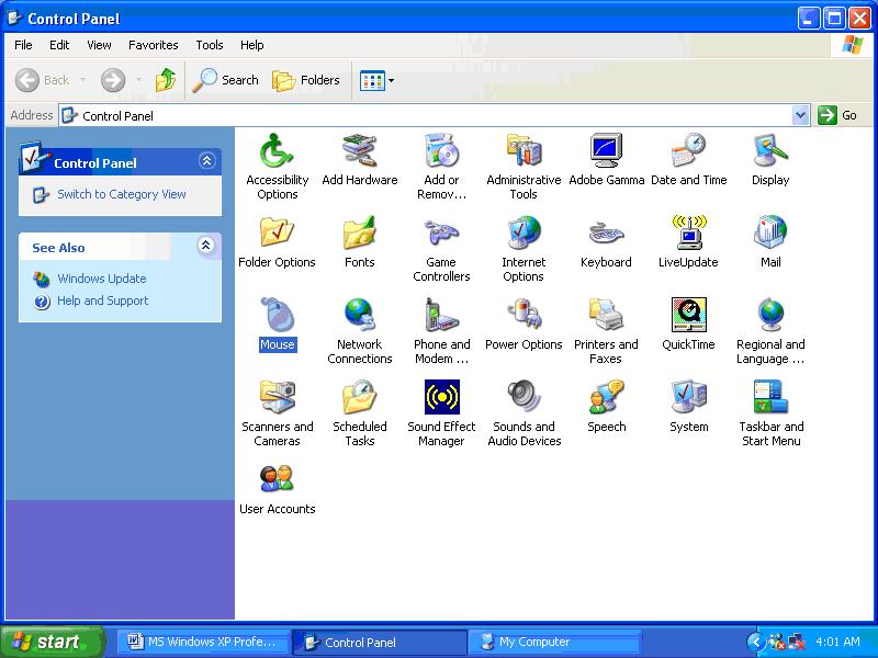How to Change the Speed of the Mouse Pointer in MS Windows XP ...